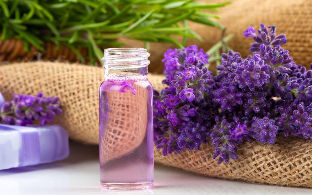 Parfumy a ich voňavá história (6. diel) – selfino.cz